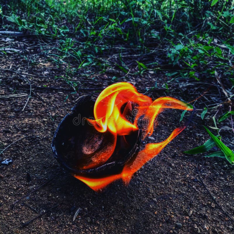 A Flame with Ember in the Ground Stock Photo - Image of autumn, soil ...