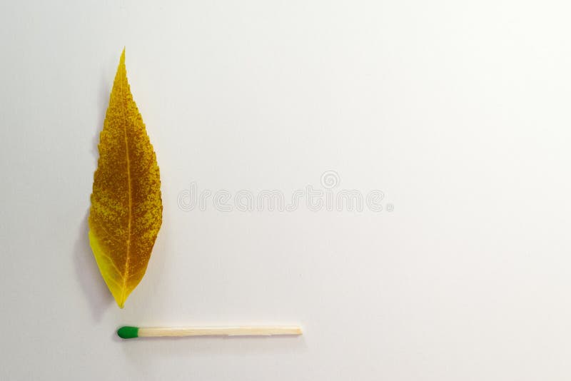 Matchstick Cleverly Stock Photos - Free & Royalty-Free Stock Photos ...