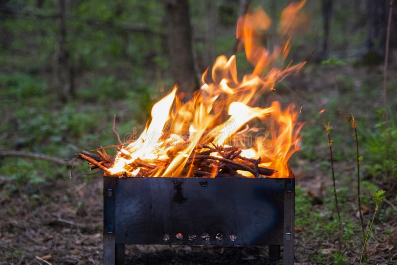 Flame of a Fire in a Barbecue in a Green Forest Stock Image - Image of ...