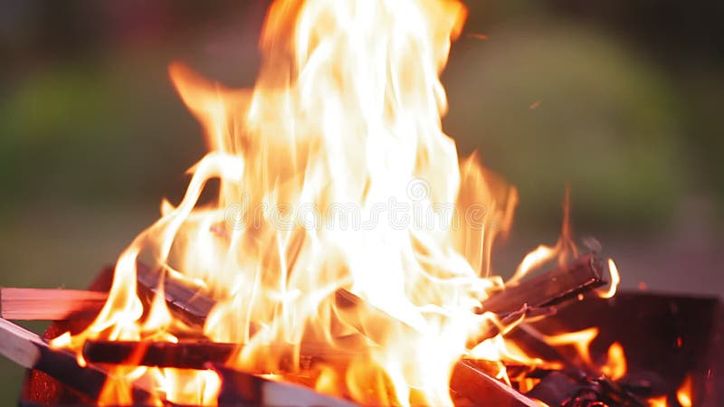 The Flame of the Fire is Bright Burning at Dusk. Stock Video - Video of ...