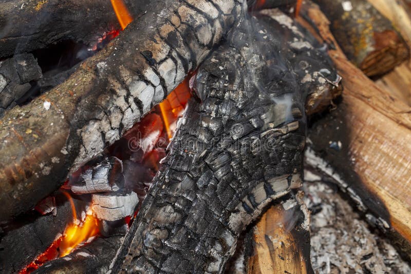 110 Kindled Flame Stock Photos - Free & Royalty-Free Stock Photos from ...