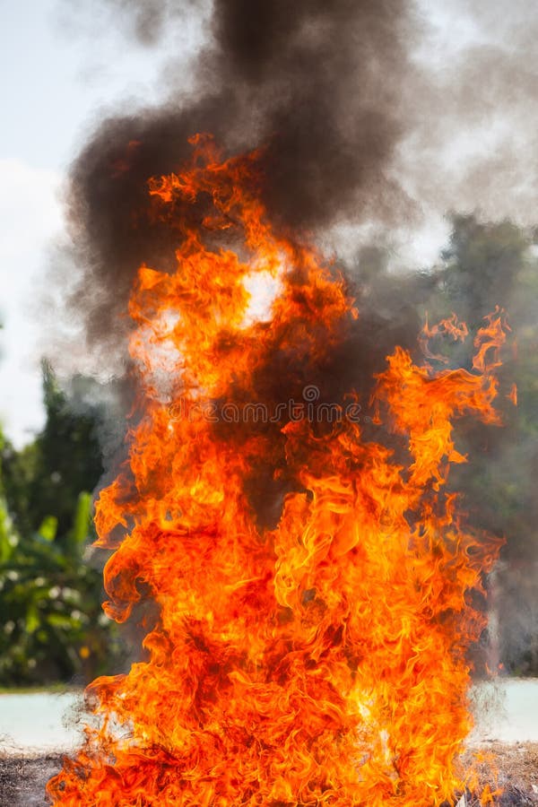 Flame fire movemen stock image. Image of fire, fireside - 141139801