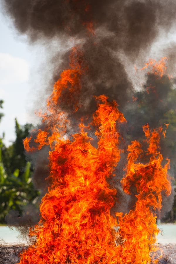 Flame Fire Movement on a Black Background Stock Photo - Image of energy ...