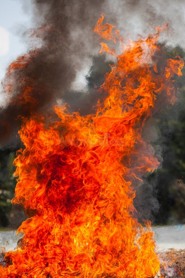 Flame Fire Movement on a Black Background Stock Photo - Image of energy ...