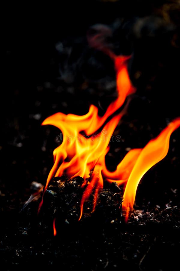 Flame fire movement stock photo. Image of fire, bonfire - 243918290