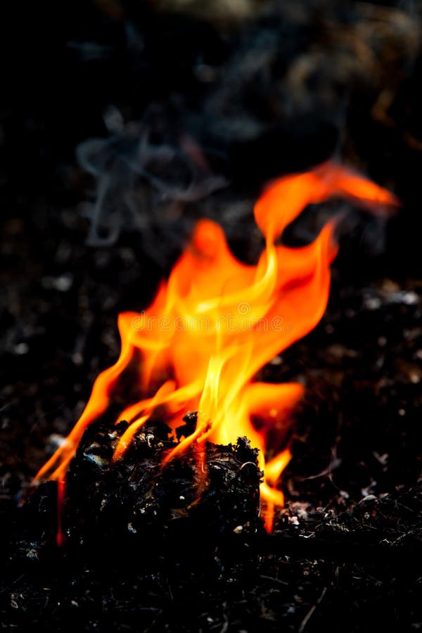 Flame fire movement stock image. Image of detail, emergency - 243918293