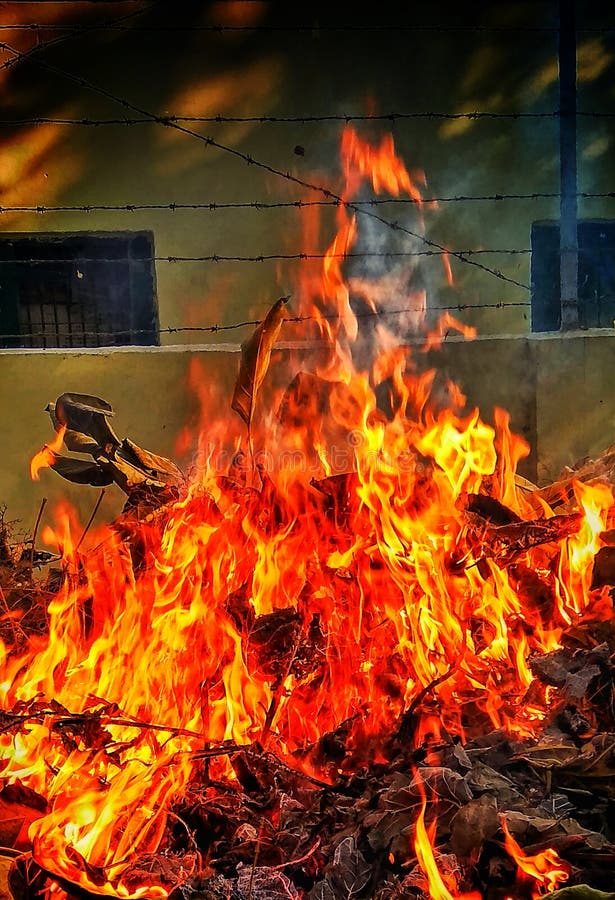 Flame of fire stock image. Image of fire, flame, yellow - 138875421