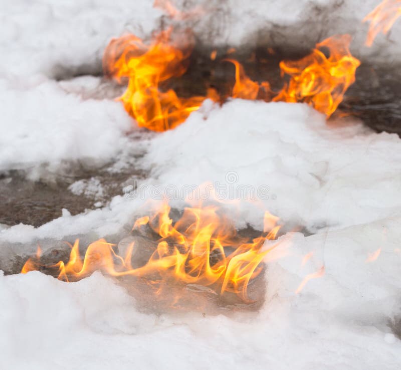 Flame of Fire on White Snow in Winter Stock Photo - Image of winter ...
