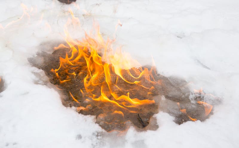 Flame of Fire on White Snow in Winter Stock Photo - Image of heat ...