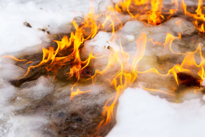 Flame of Fire on White Snow in Winter Stock Photo - Image of flame ...