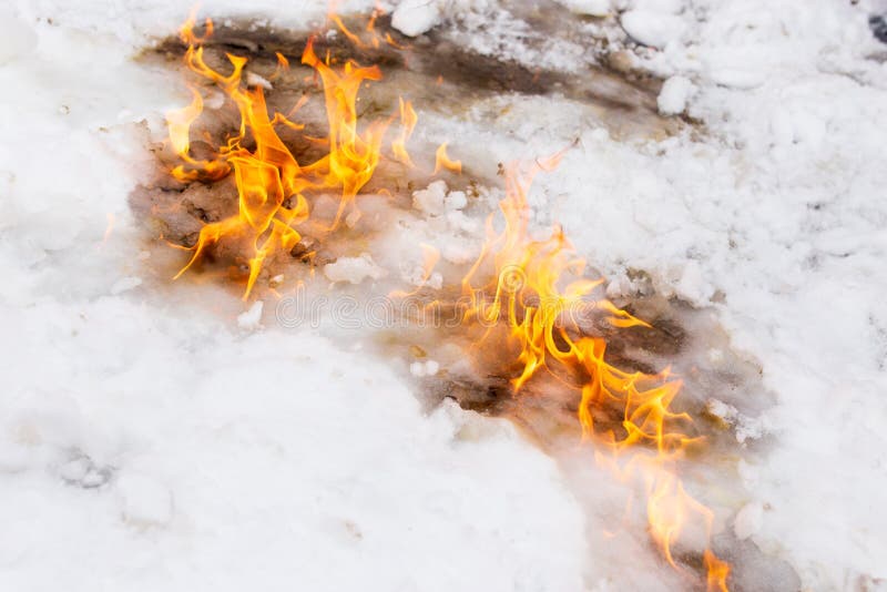 Flame of Fire on White Snow in Winter Stock Photo - Image of design ...