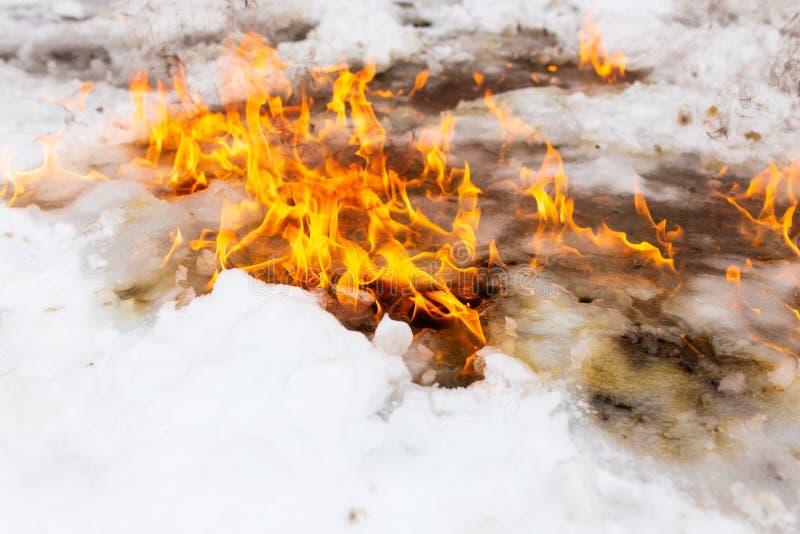 Flame of Fire on White Snow in Winter Stock Image - Image of texture ...