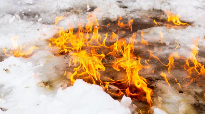 Flame of Fire on White Snow in Winter Stock Image - Image of white ...