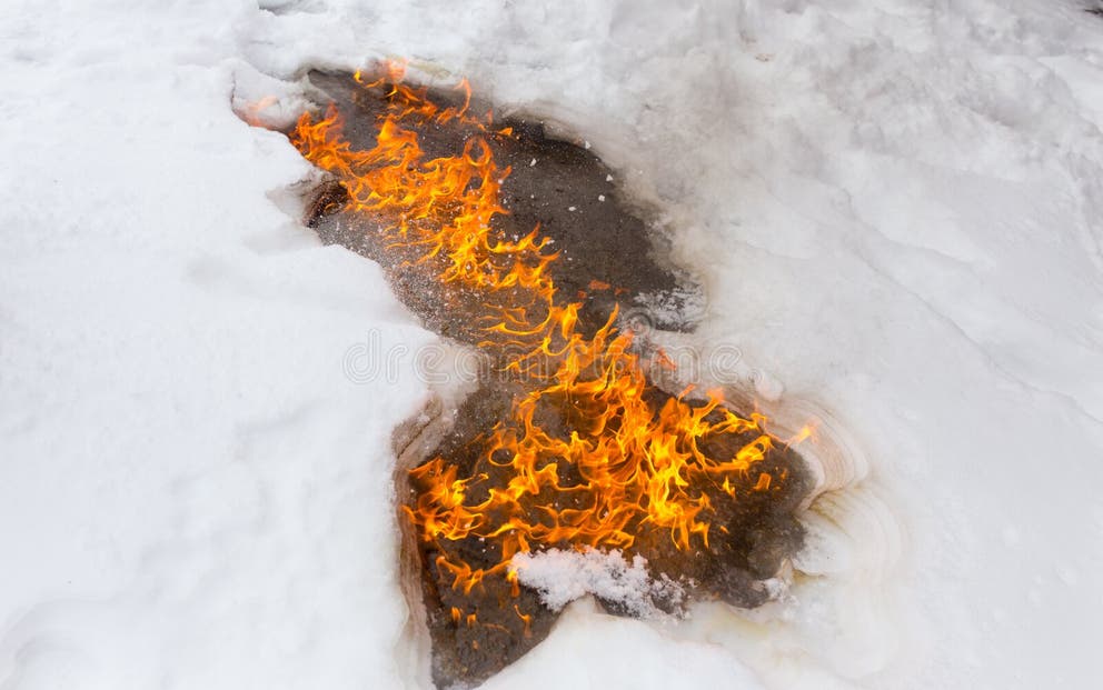 Flame of Fire on White Snow in Winter Stock Photo - Image of snow ...