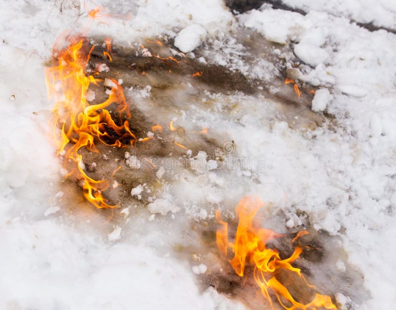 Flame of Fire on White Snow in Winter Stock Image - Image of science ...
