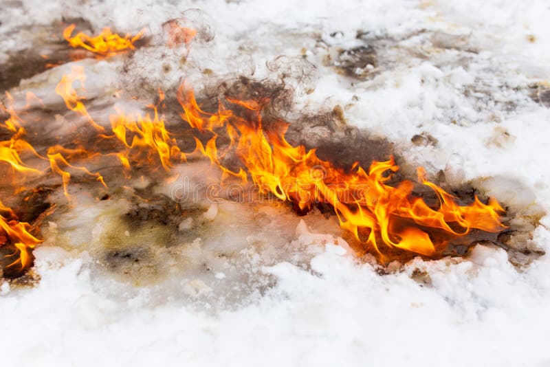 Flame Of Fire On White Snow In Winter Stock Image - Image of chemistry ...