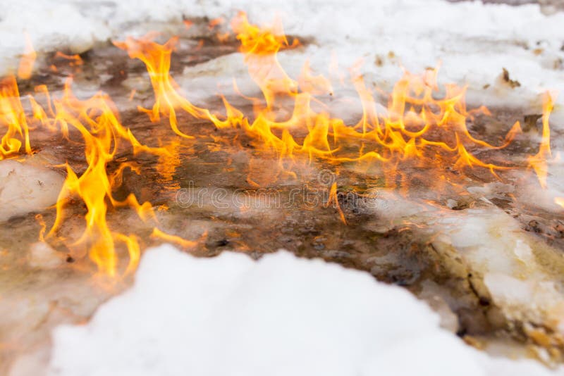 Flame of Fire on White Snow in Winter Stock Image - Image of yellow ...