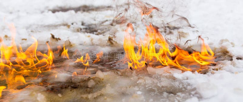 Flame of Fire on White Snow in Winter Stock Photo - Image of white ...
