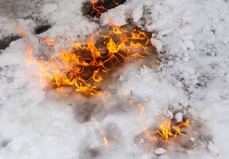 Flame of Fire on White Snow in Winter Stock Image - Image of white ...