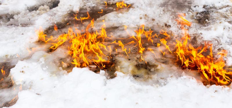 Flame of Fire on White Snow in Winter Stock Image - Image of natural ...
