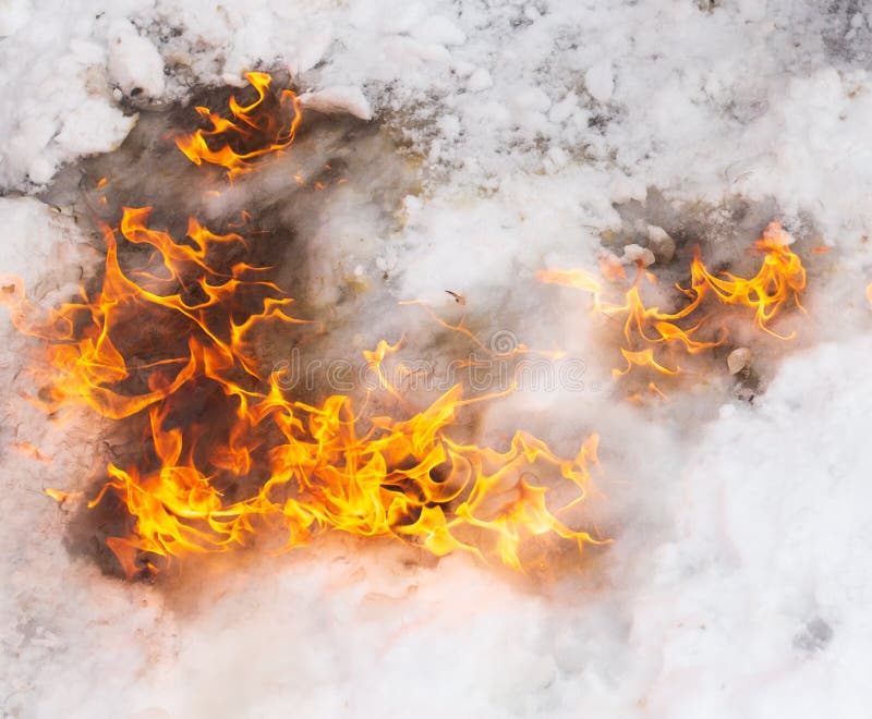 Flame of Fire on White Snow in Winter Stock Photo - Image of gasoline ...