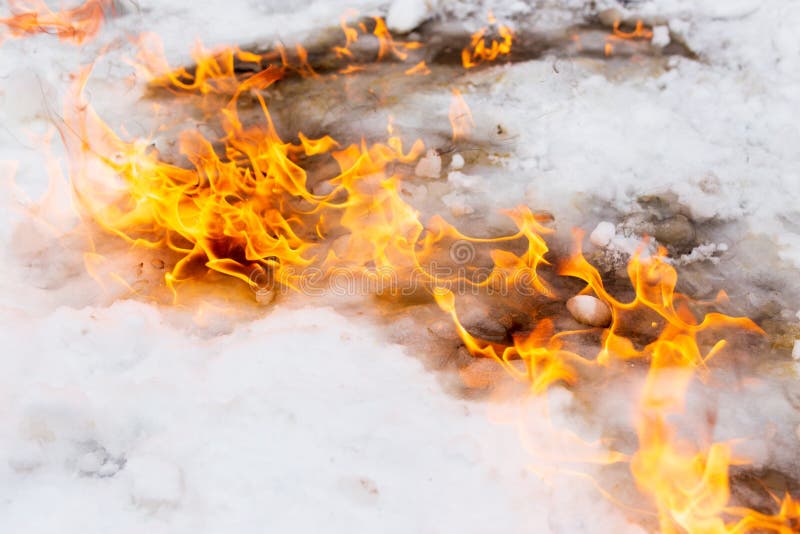 Flame of Fire on White Snow in Winter Stock Photo - Image of flame ...