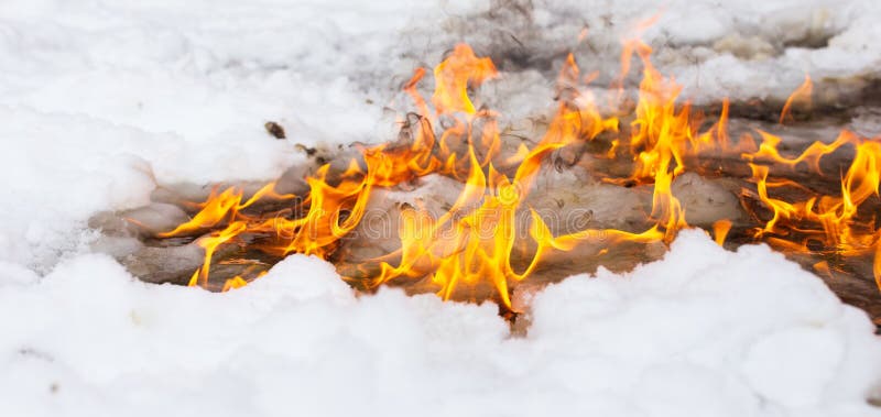 Flame of Fire on White Snow in Winter Stock Image - Image of snow, fire ...