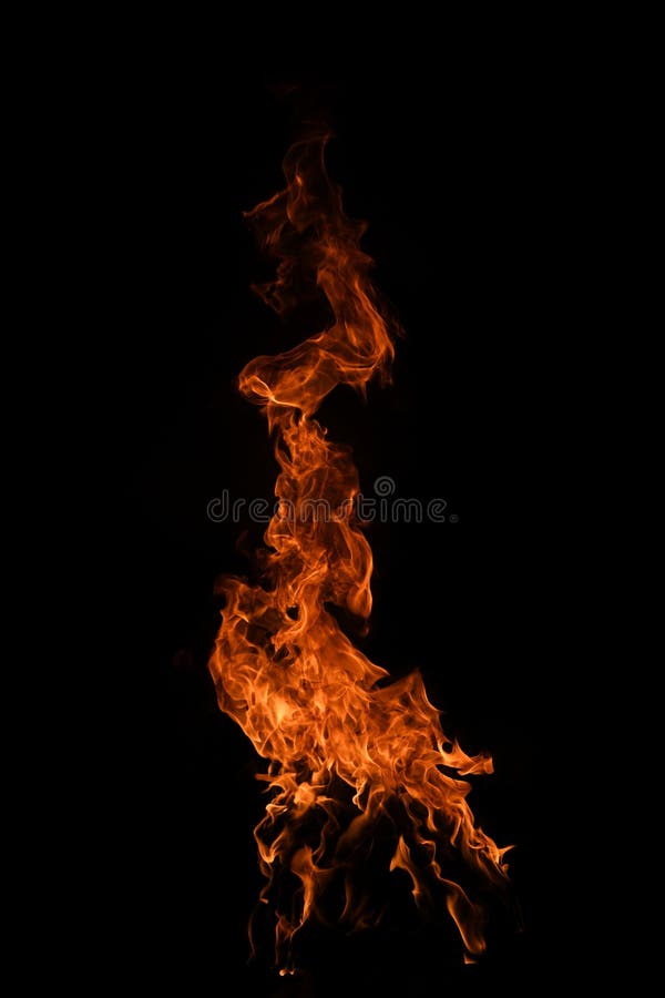Flame Fires. Burn Lights on a Black Background. Fire Flames on Black ...