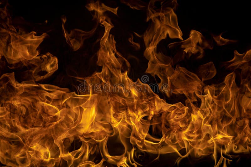 Flame Fires. Burn Lights on a Black Background. Fire Flames on Black ...