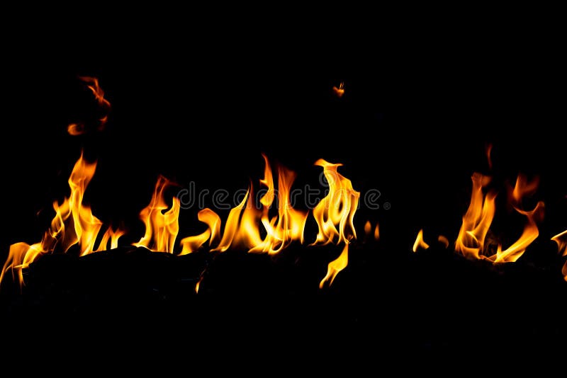 Flame Fires. Burn Lights on a Black Background. Fire Flames on Black ...