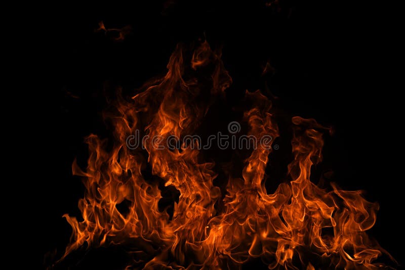 Flame Fires. Burn Lights on a Black Background. Fire Flames on Black ...