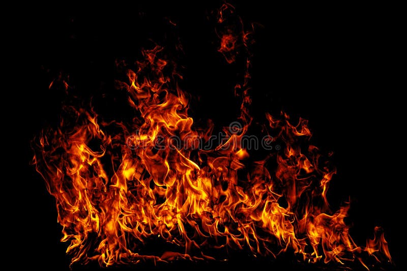 Flame Fires. Burn Lights on a Black Background. Fire Flames on Black ...