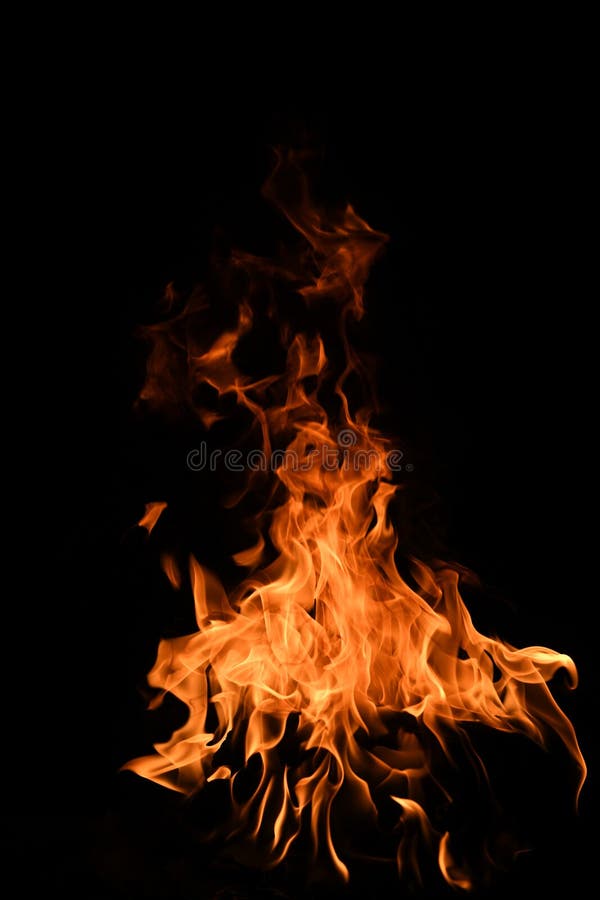 Flame Fires. Burn Lights on a Black Background. Fire Flames on Black ...