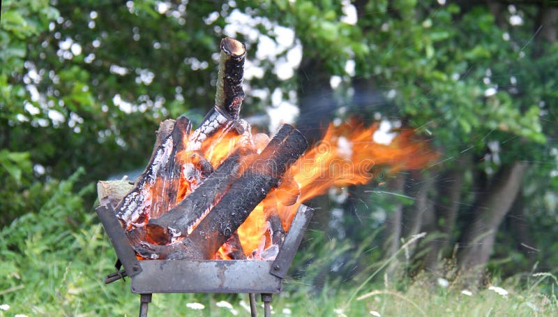 Flame stock image. Image of greenery, grill, prepare - 32335003