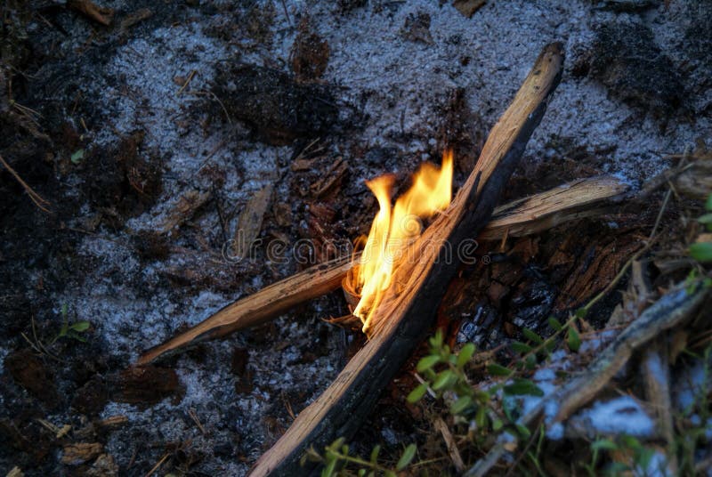 Flame on the ground stock image. Image of nature, warmth - 46029231
