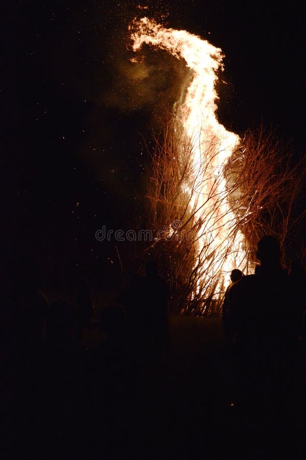 Flame of a Large Fire in the Shape of a Dragon Stock Image - Image of ...