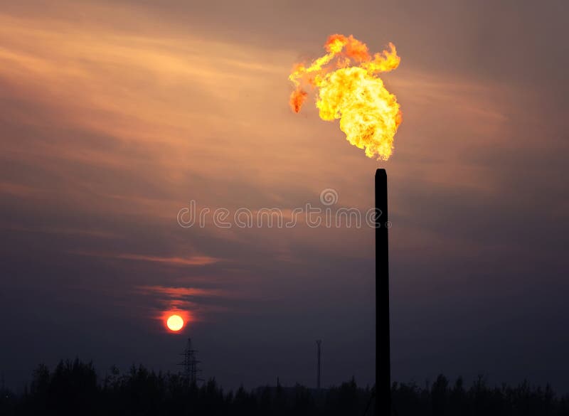 Flame of the oil torch stock photo. Image of energy - 102493924