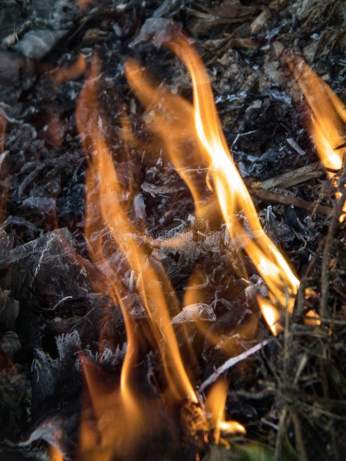 Flame is the Power of Burning. Stock Image - Image of power, flame ...