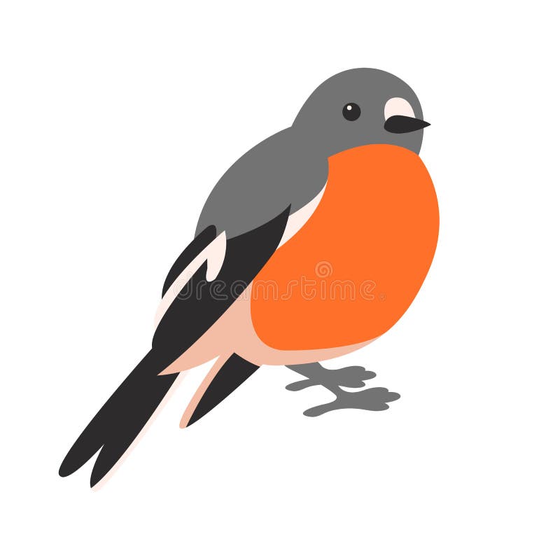 Robin Red Breast Bird, Vector Illustration, Flat Style Stock Vector ...