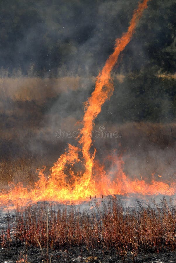 Flame twister stock photo. Image of twister, wildfire - 2168966