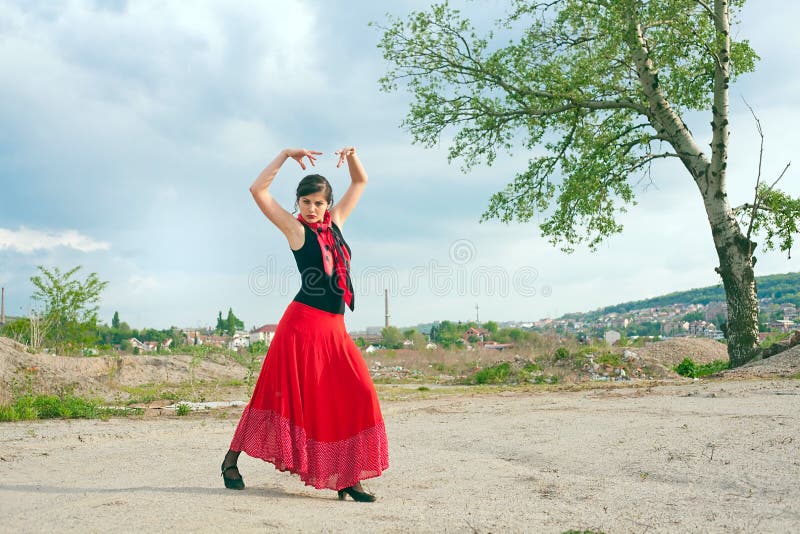 Flamenco pose stock photo. Image of female, elegant, exercise - 25122750