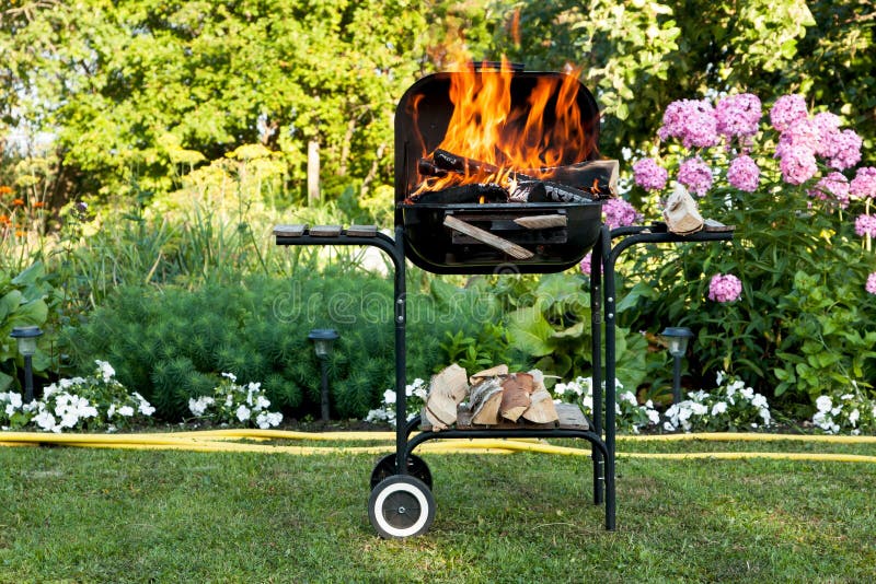 Backyard barbecue stock image. Image of leisure, charcoal - 2418605