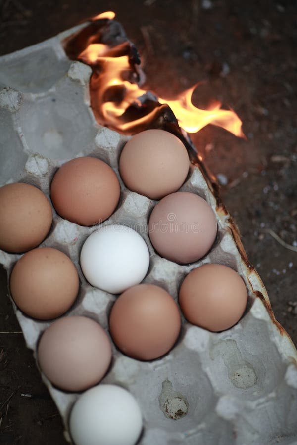 Flames Box with Chicken Eggs Stock Photo - Image of flame, depression ...