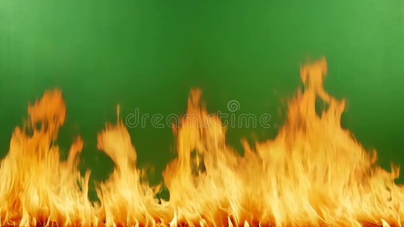 Flames Burning on Green Screen Background AI Generated Stock Video ...