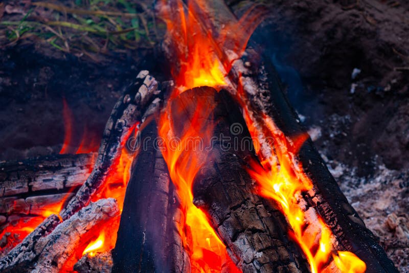 Flames on burning wood stock image. Image of barbecue - 281093423