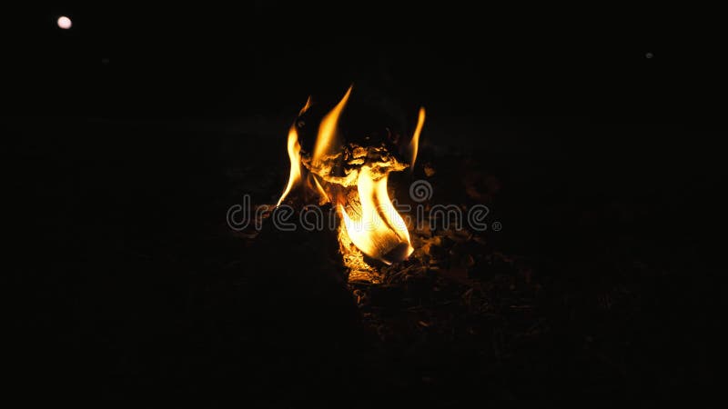 Flames of Campfire on a Black Background. Stock Footage - Video of campfire, burning: 261328014
