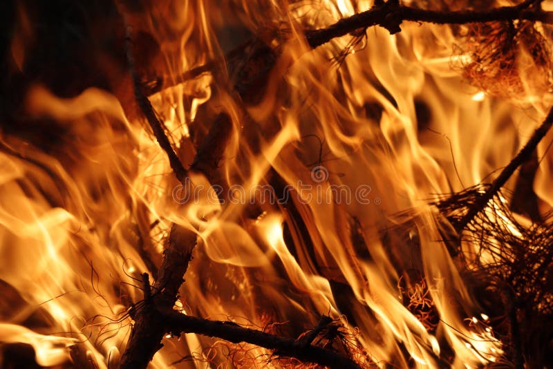 Flames of a campfire stock photo. Image of abstract - 170894332