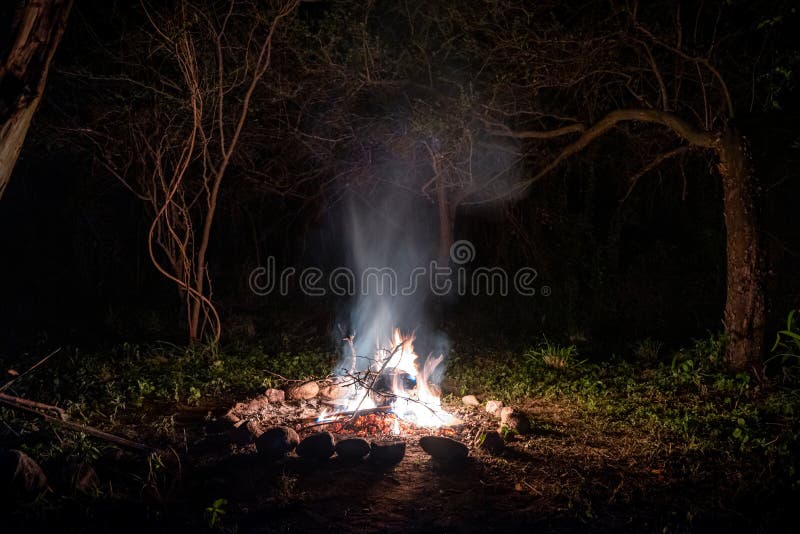 Flames of a Campfire at Night in a Dark Spooky Forest Surrounded by ...