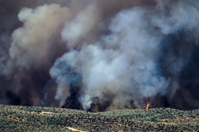 Flames and Dense White Smoke Rising from the Raging Wildfire Stock ...