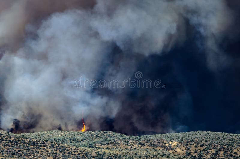 Flames and Dense White Smoke Rising from the Raging Wildfire Stock ...